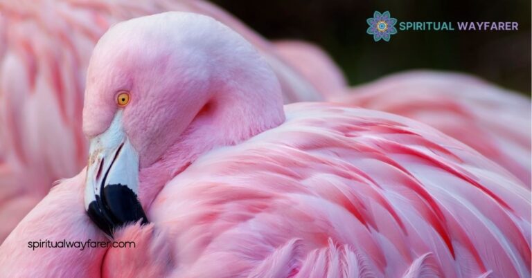 Unlock the Hidden Meanings: Exploring Flamingo Symbolism Across Cultures