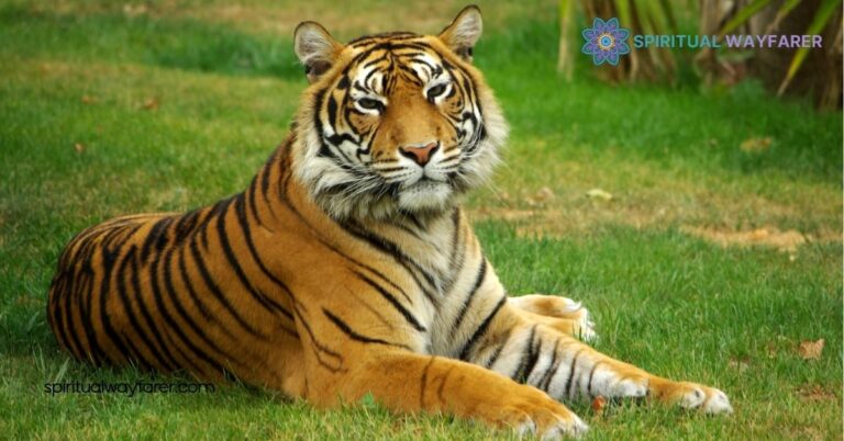 Tiger Symbolism: Exploring Its Powerful Meaning Across Cultures