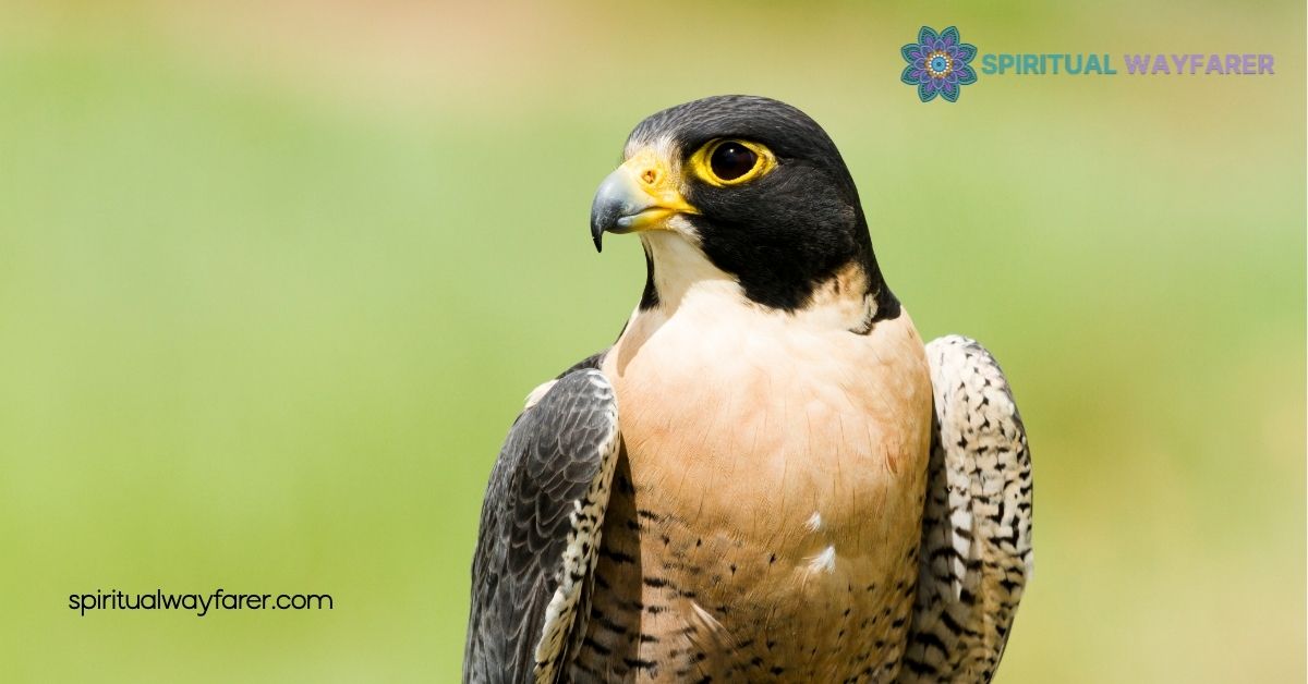 Falcon Spirit Animal Meaning Revealed: Harness Its Power for Success