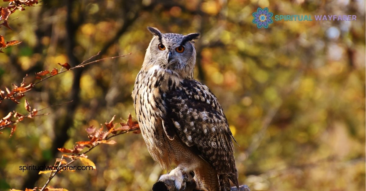 The Ultimate Guide to Owl Symbolism: Wisdom, Mystery & Cultural ...