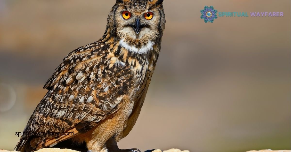 Owl Crossing Your Path? Discover Its Powerful Spiritual Meaning