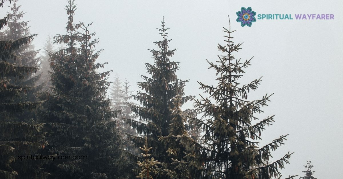 The Pine Tree Spiritual Meaning: Embrace Strength and Inner Peace