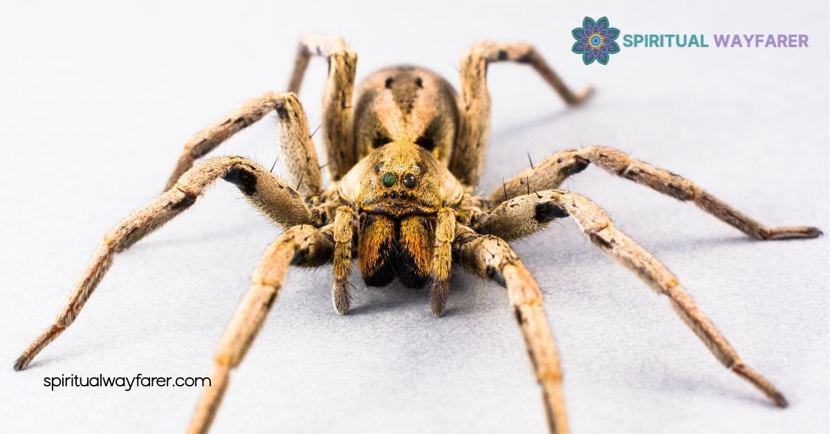 Spider Symbolism: Uncovering Hidden Meanings in Culture, Art & Psychology