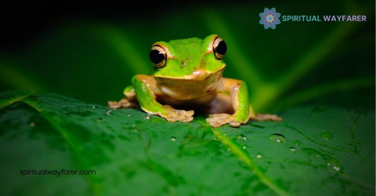 Frog Symbolism Explained: Discover Its Mystical Meaning Across Cultures