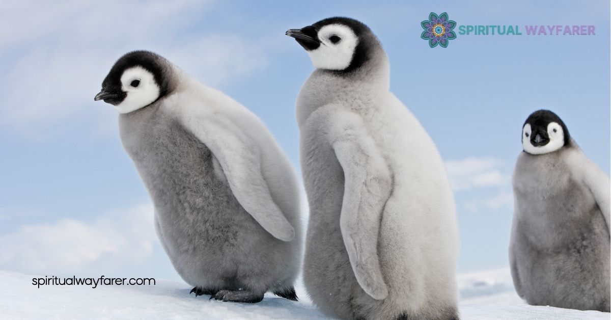 Uncovering Penguin Symbolism: What These Majestic Birds Teach Us About ...
