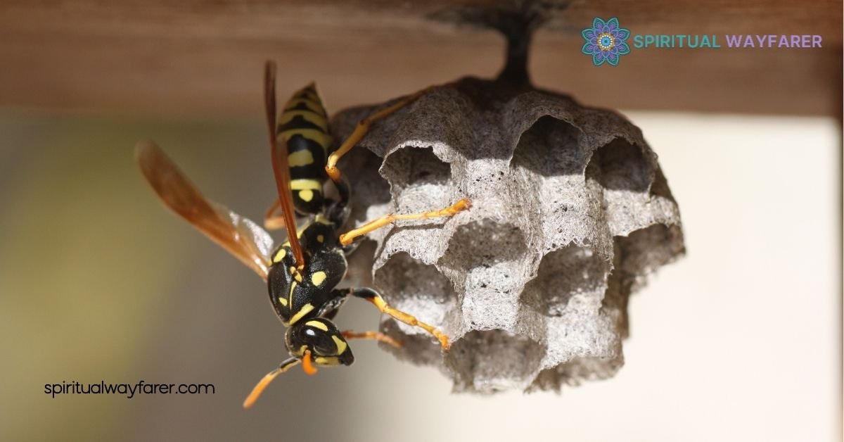 10 Surprising Meanings Behind Wasp Symbolism You Never Knew