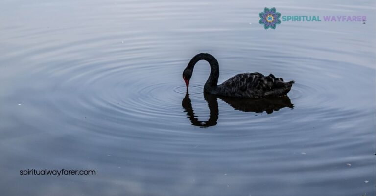 Exploring the Symbolism of a Black Swan: Mystery, Transformation, and ...