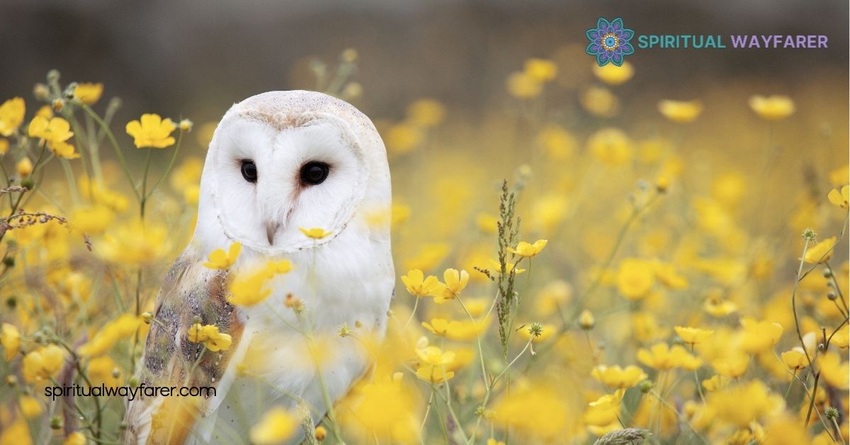 The Ultimate Guide to Owl Symbolism: Wisdom, Mystery & Cultural ...