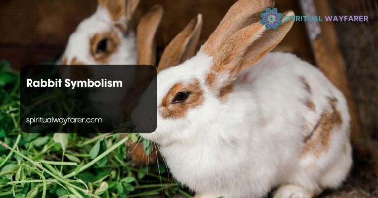 10 Surprising Rabbit Symbolism Facts You Never Knew