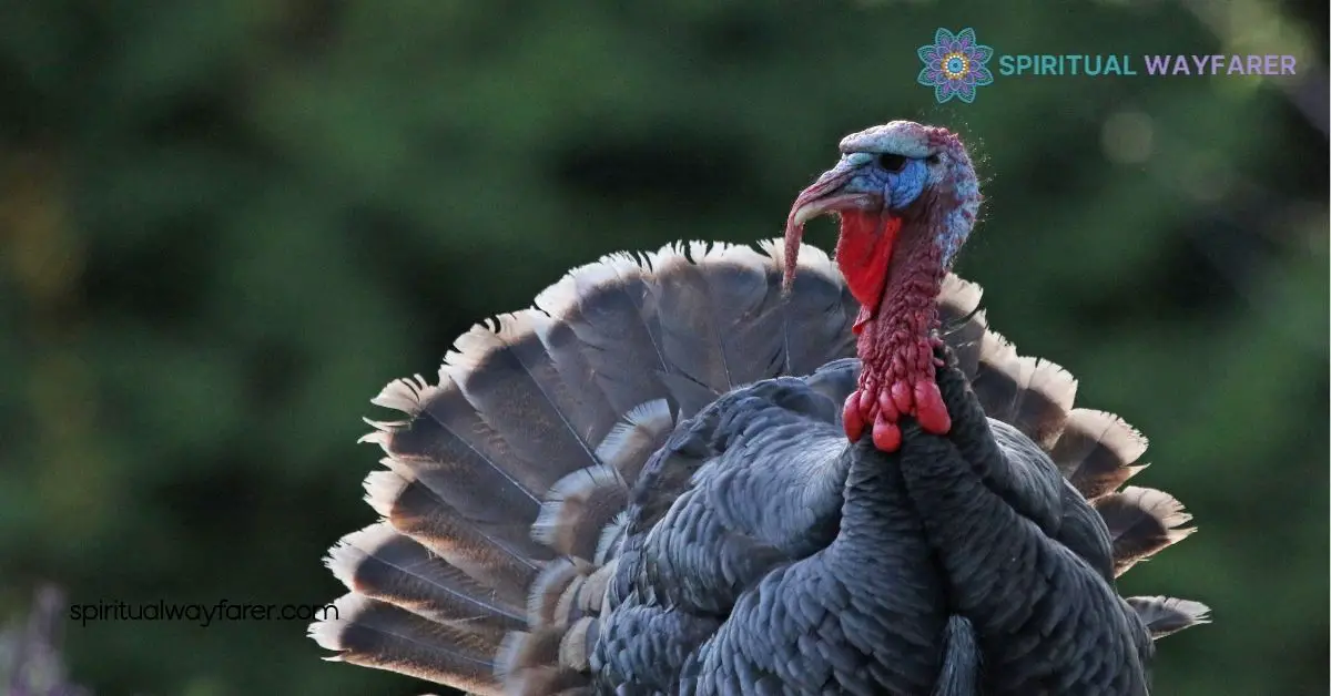 Unveiling Turkey Symbolism: From Ancient Myths to Modern Traditions