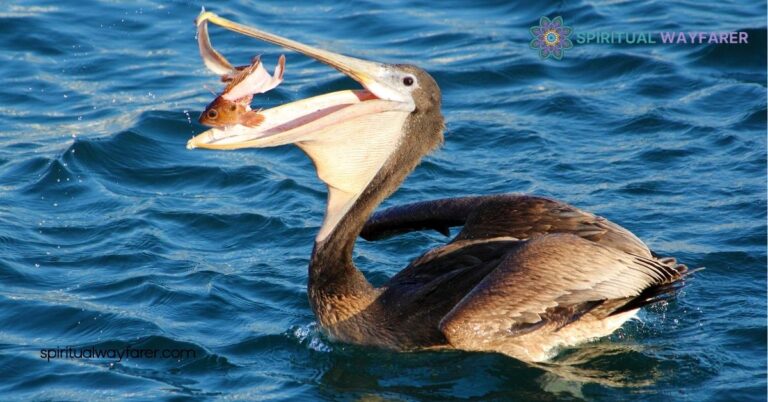 Pelican Symbolism: Exploring the Deep Meanings in Culture, Art & Religion