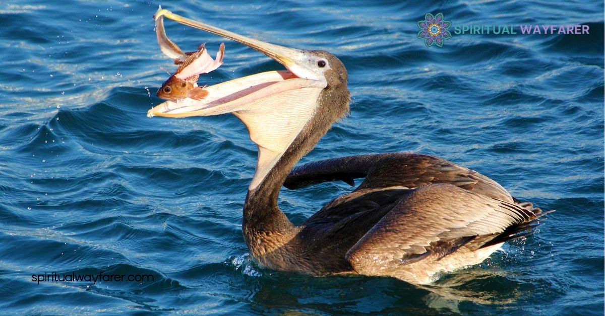 Pelican Symbolism: Exploring the Deep Meanings in Culture, Art & Religion