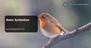 Robin Symbolism Explained: Uncover the Hidden Meanings Behind These ...
