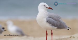 Unlocking the Hidden Meaning: Seagull Symbolism Explained