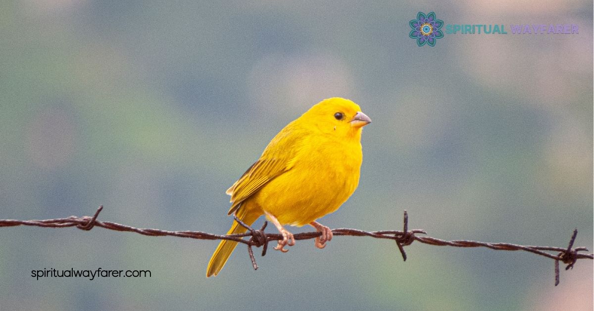 Exploring the Spiritual Meaning & Symbolism of Yellow Birds: Embrace ...