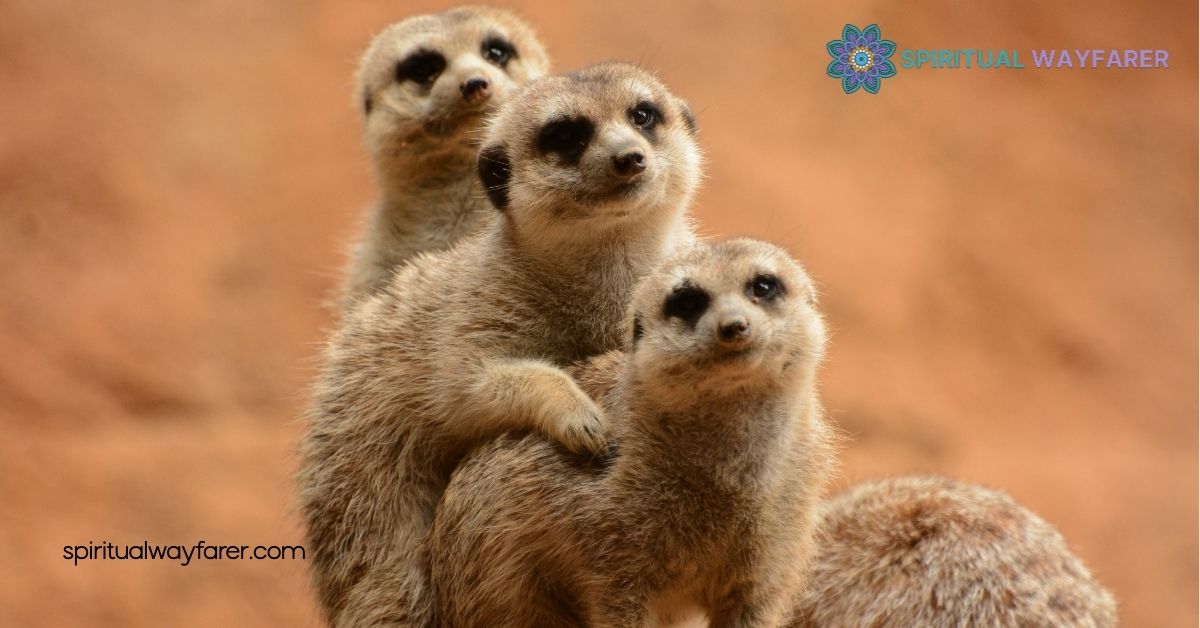 Which Native American Spirit Animal Matches Your Birthday? Find Out Now