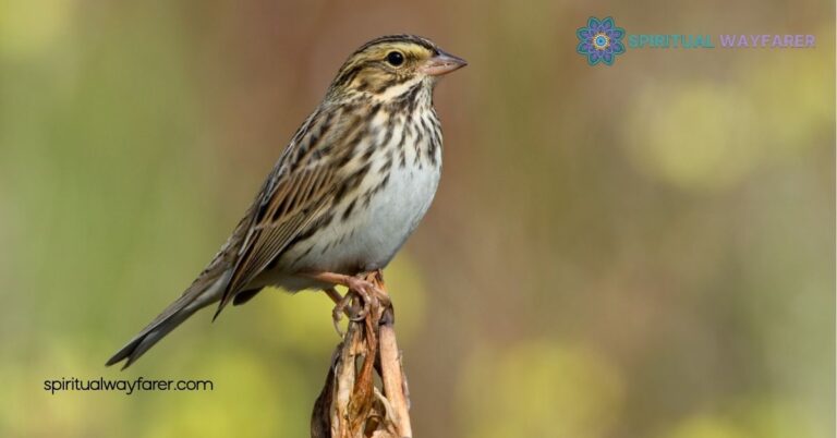 What Does It Mean When a Sparrow Visits You? Discover Their Hidden ...