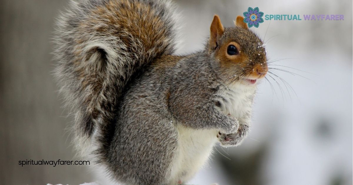 Squirrel Symbolism: Discover the Hidden Meanings and Life Lessons