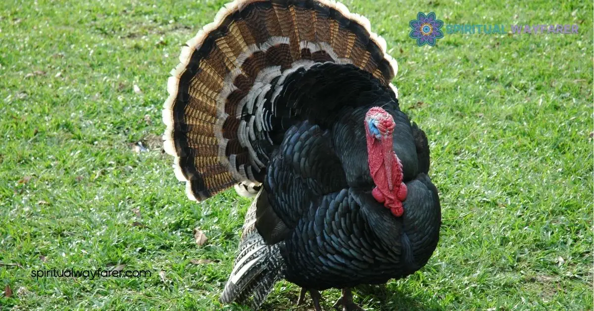 Unveiling Turkey Symbolism: From Ancient Myths to Modern Traditions