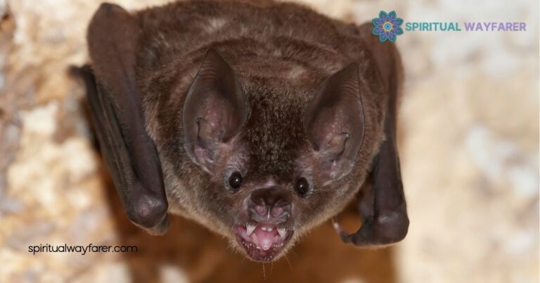 Unveiling Bat Symbolism: Meanings Across Cultures & History