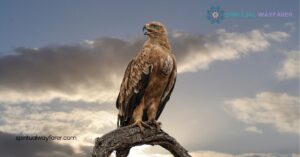 Falcon Symbolism: Exploring Power, Freedom & Cultural Significance