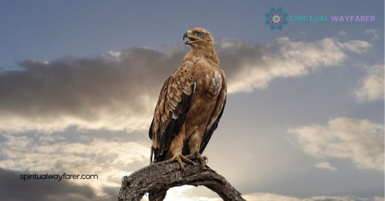 Falcon Symbolism: Exploring Power, Freedom & Cultural Significance