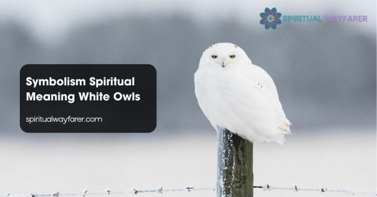 Unlock the Mystical Symbolism and Spiritual Meaning of White Owls