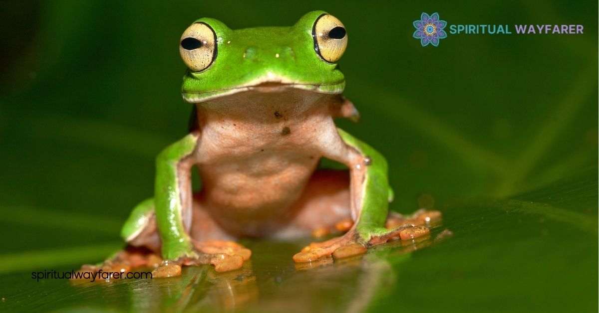 Frog Symbolism Explained: Discover Its Mystical Meaning Across Cultures