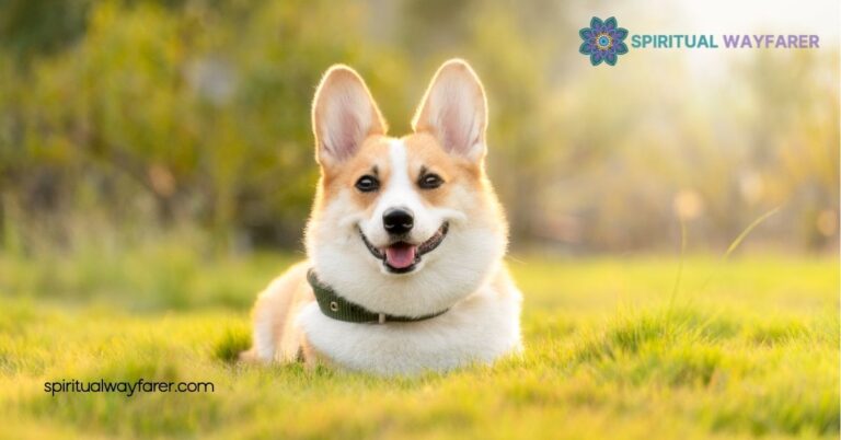 Unlocking Dog Symbolism: What Your Furry Friend Truly Represents