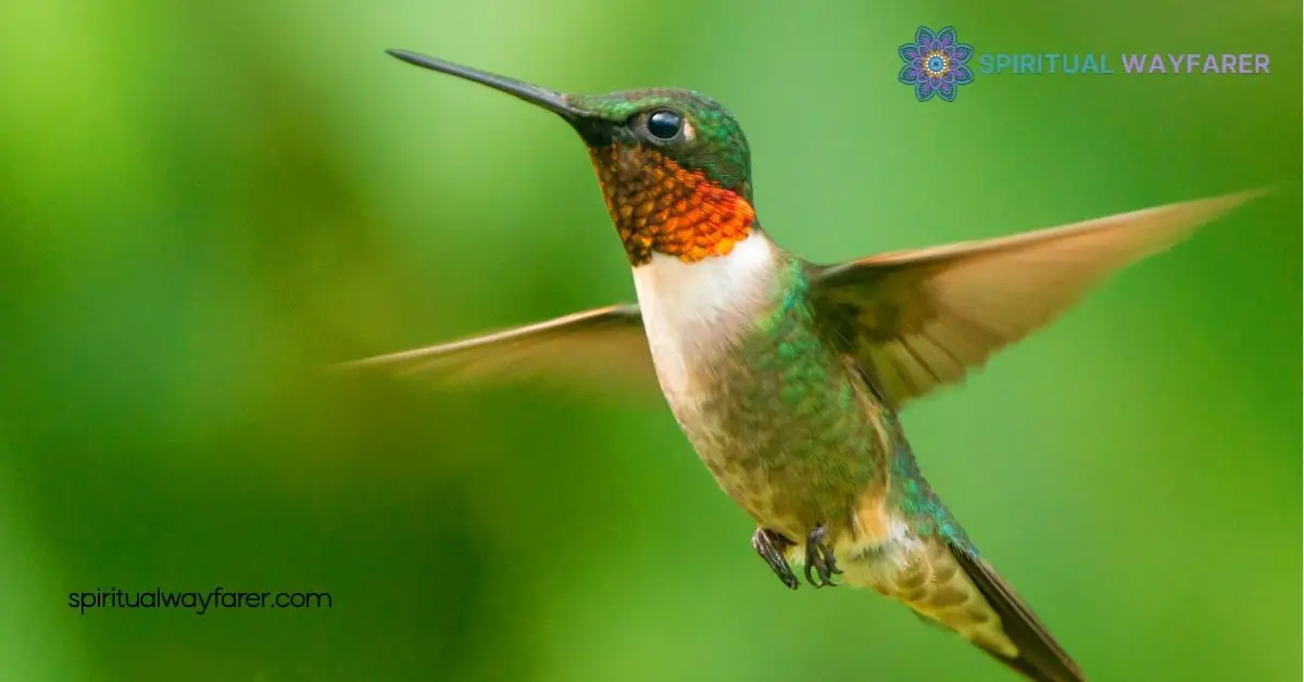 Unlock the Secrets of Hummingbird Symbolism: Meaning, Culture & Inspiration