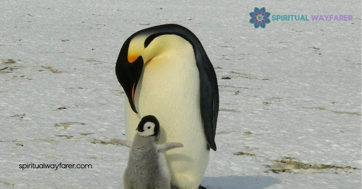 Uncovering Penguin Symbolism: What These Majestic Birds Teach Us About ...