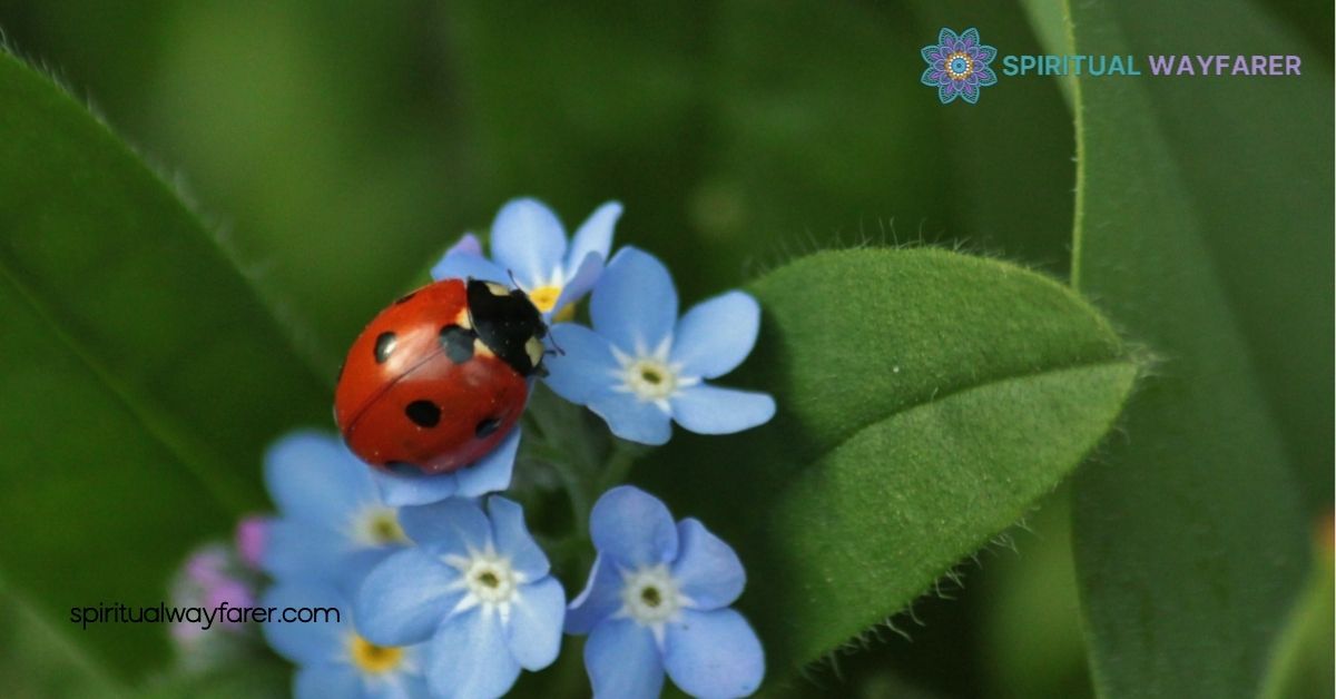 Unlocking the Symbolism and Spiritual Meaning of Ladybugs: Discover ...