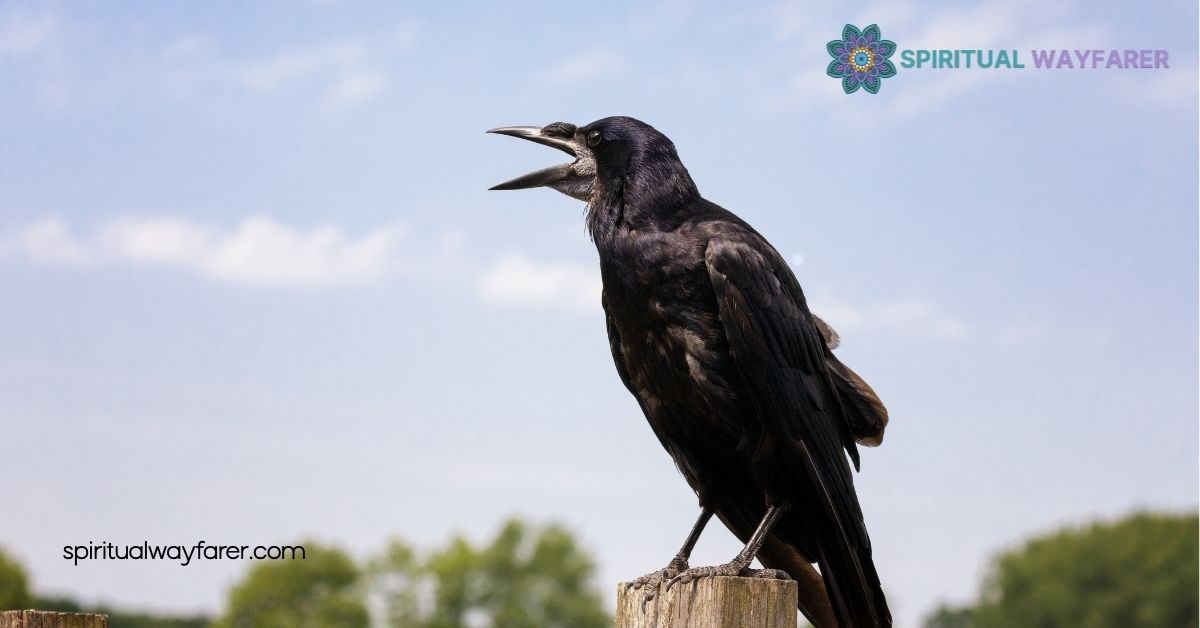 Understanding Crow Symbolism: Meanings, Myths, and Cultural Insights