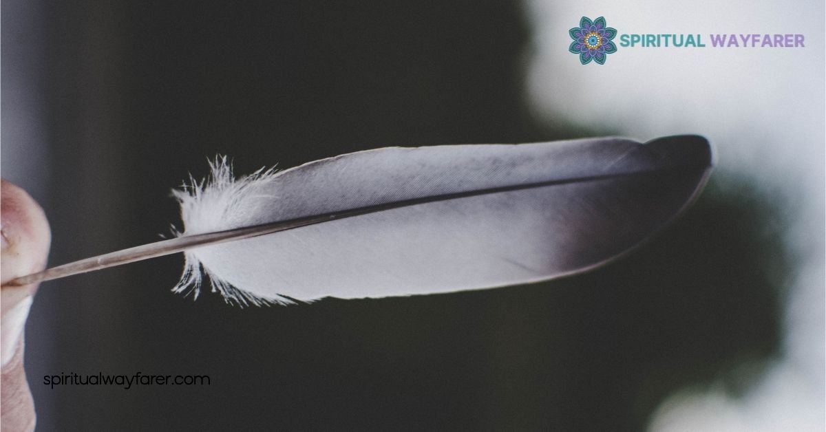 Grey and White Feather Spiritual Meaning: Unlocking Messages from the ...