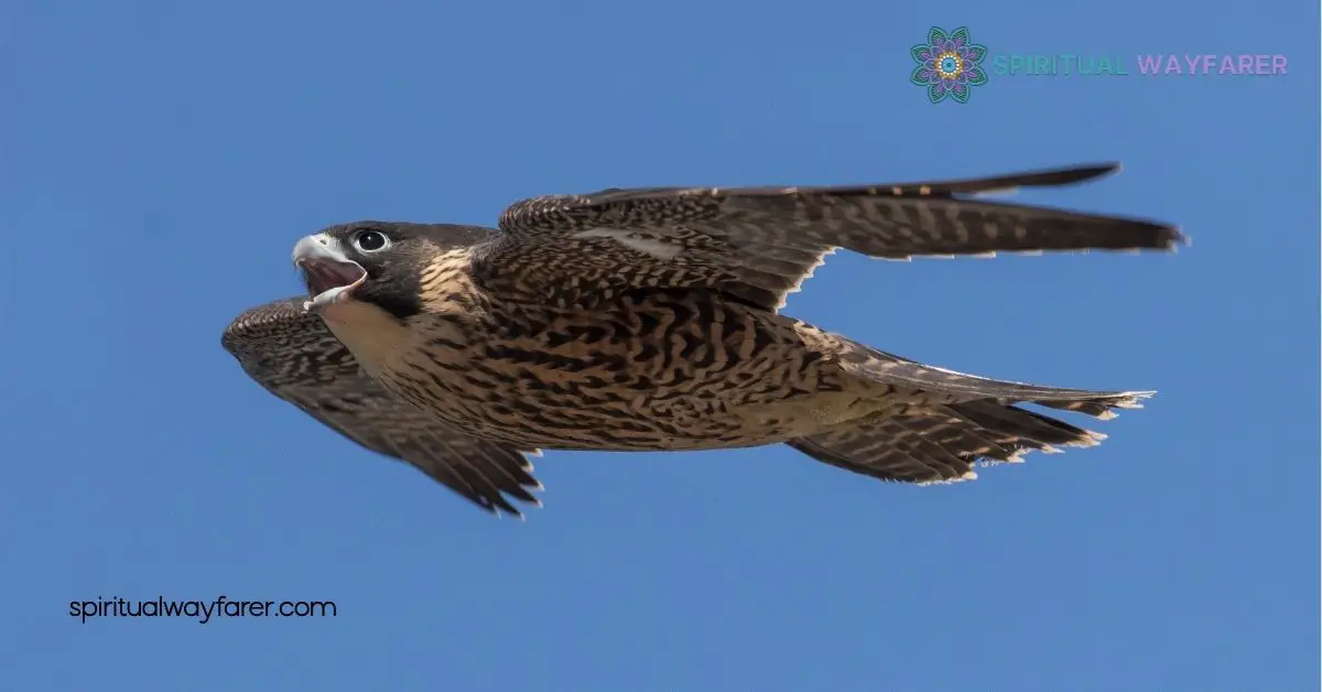 Falcon Spirit Animal Meaning Revealed: Harness Its Power for Success