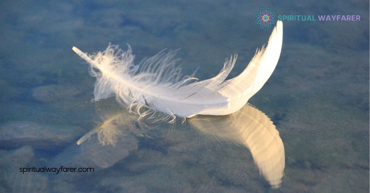 Feather Spiritual Meaning: Discover How Feathers Guide Your Spiritual ...