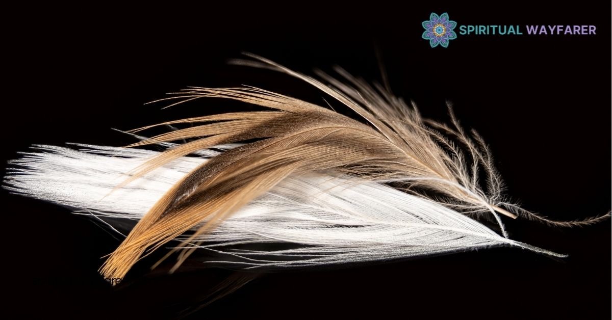 Brown and White Feather Spiritual Meaning: Unlock Their Powerful Messages