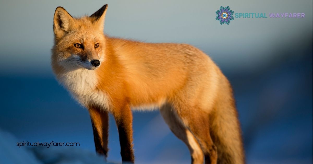 The Spiritual Meaning of a Fox Crossing Your Path: Unlock Its Hidden ...