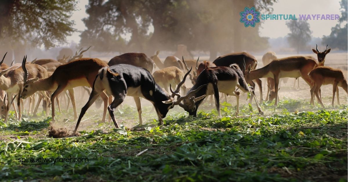 Discover Your Spirit Animal for January: Unlock Strength & Growth