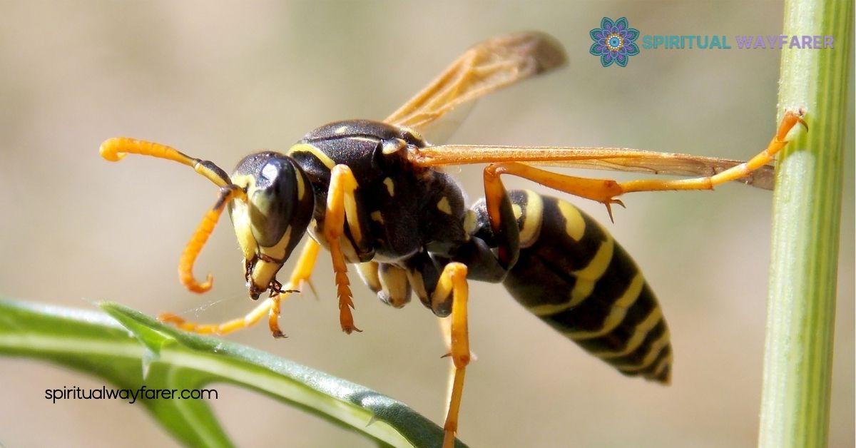 10 Surprising Meanings Behind Wasp Symbolism You Never Knew