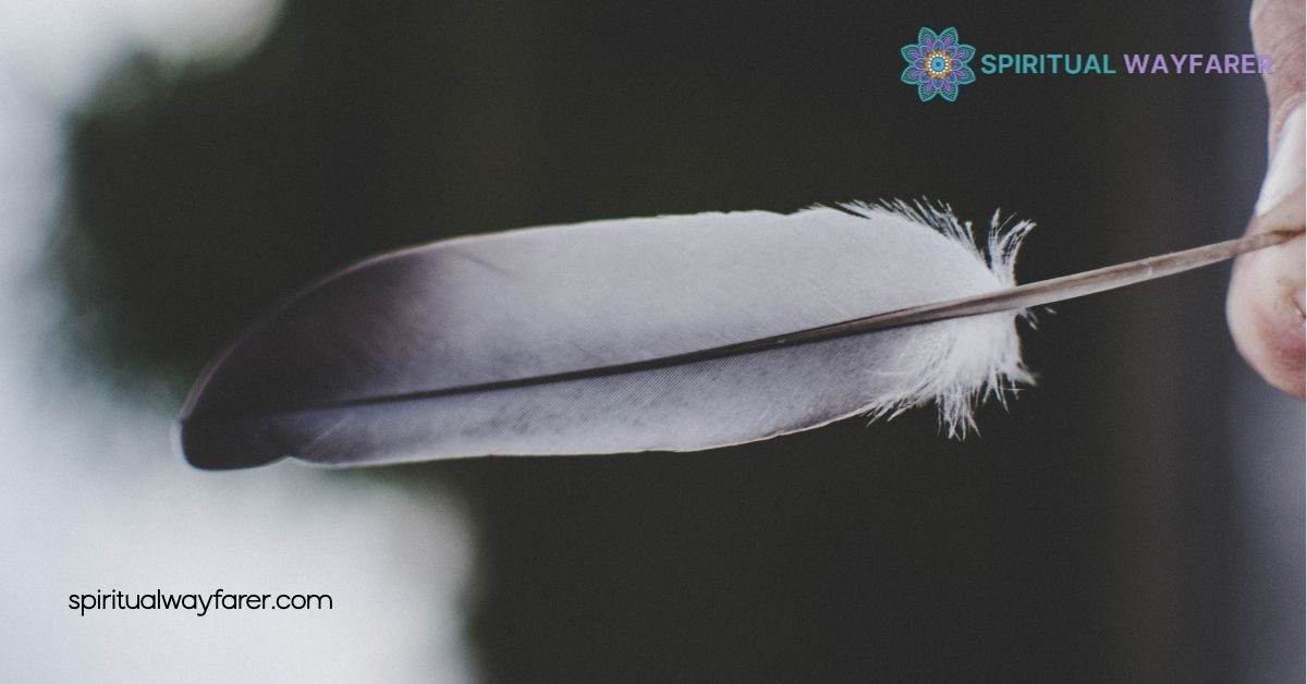 Black White Feather Symbolism Meanings: What They Really Represent