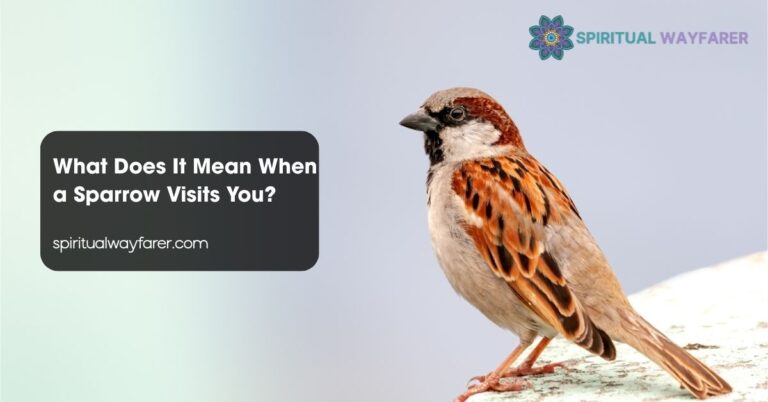 What Does It Mean When a Sparrow Visits You? Discover Their Hidden ...