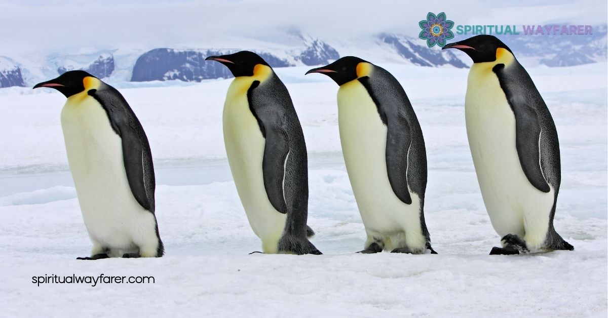 Penguin Power Animal: Harness Resilience and Teamwork from Nature’s ...