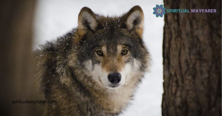 Unlocking Wolf Symbolism: Discover Strength, Loyalty & Cultural Myths