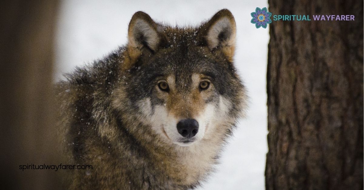 Unlocking Wolf Symbolism: Discover Strength, Loyalty & Cultural Myths